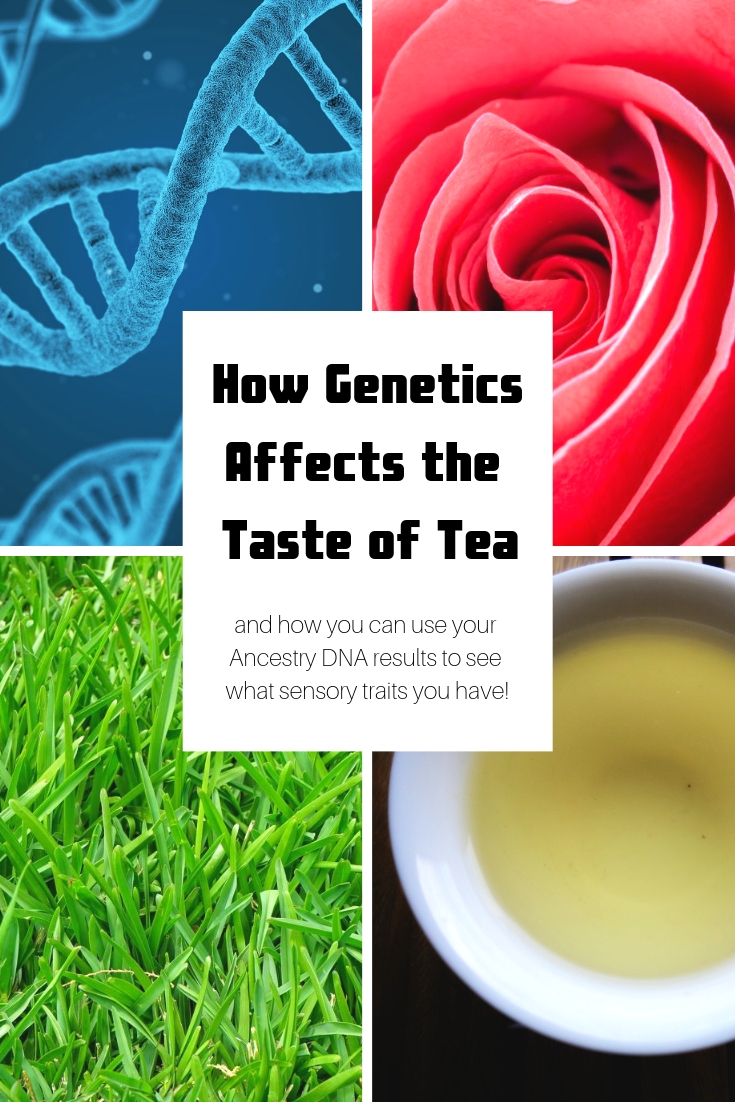 How Genetics Affects the Taste of Tea - Tea for Me Please