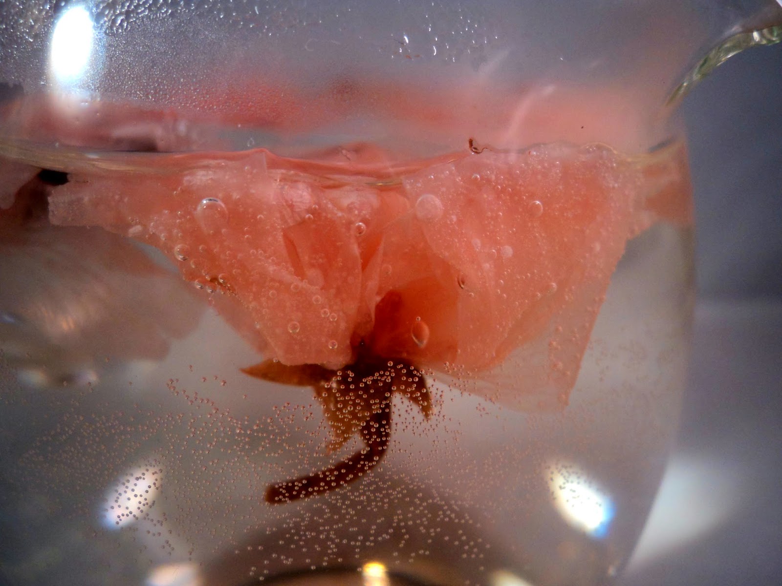 How To Make Sakura Blossom Tea Tea For Me Please