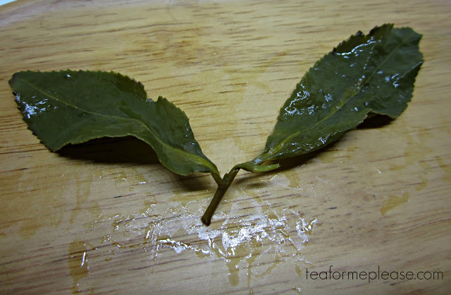 Eco-Cha Four Seasons Spring Oolong Tea - Tea for Me Please