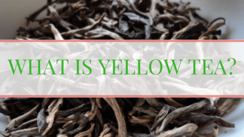 What is Yellow Tea? - What is It - How to Brew It - Tea for Me Please