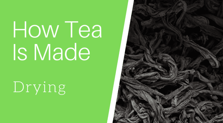 How Tea Is Made: Drying - Firing - Tea for Me Please
