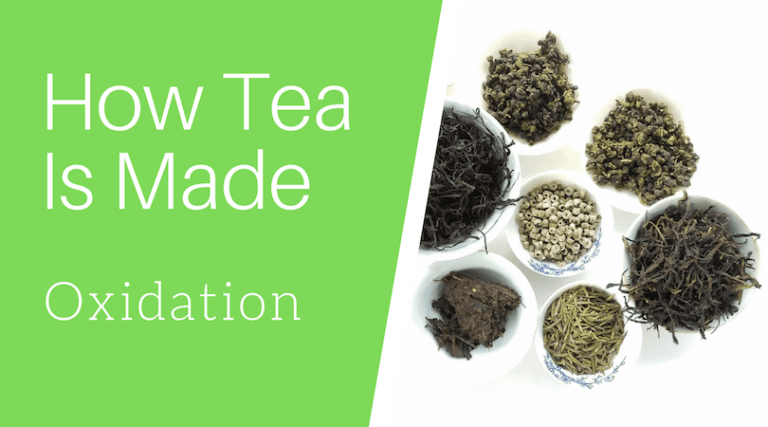 How Tea Is Made: Oxidation - Tea for Me Please