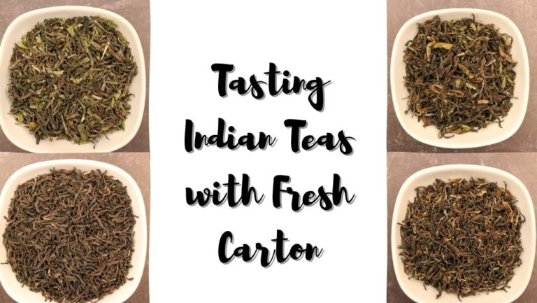 Tasting Indian Teas with Fresh Carton - Tea for Me Please