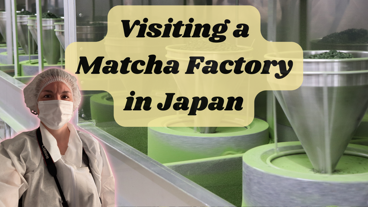 Poltchageist - This New Pokemon is Full of Matcha! - Tea for Me Please